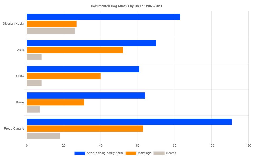 Siberian Husky Breed - Powerful Large Breed Canines - BC